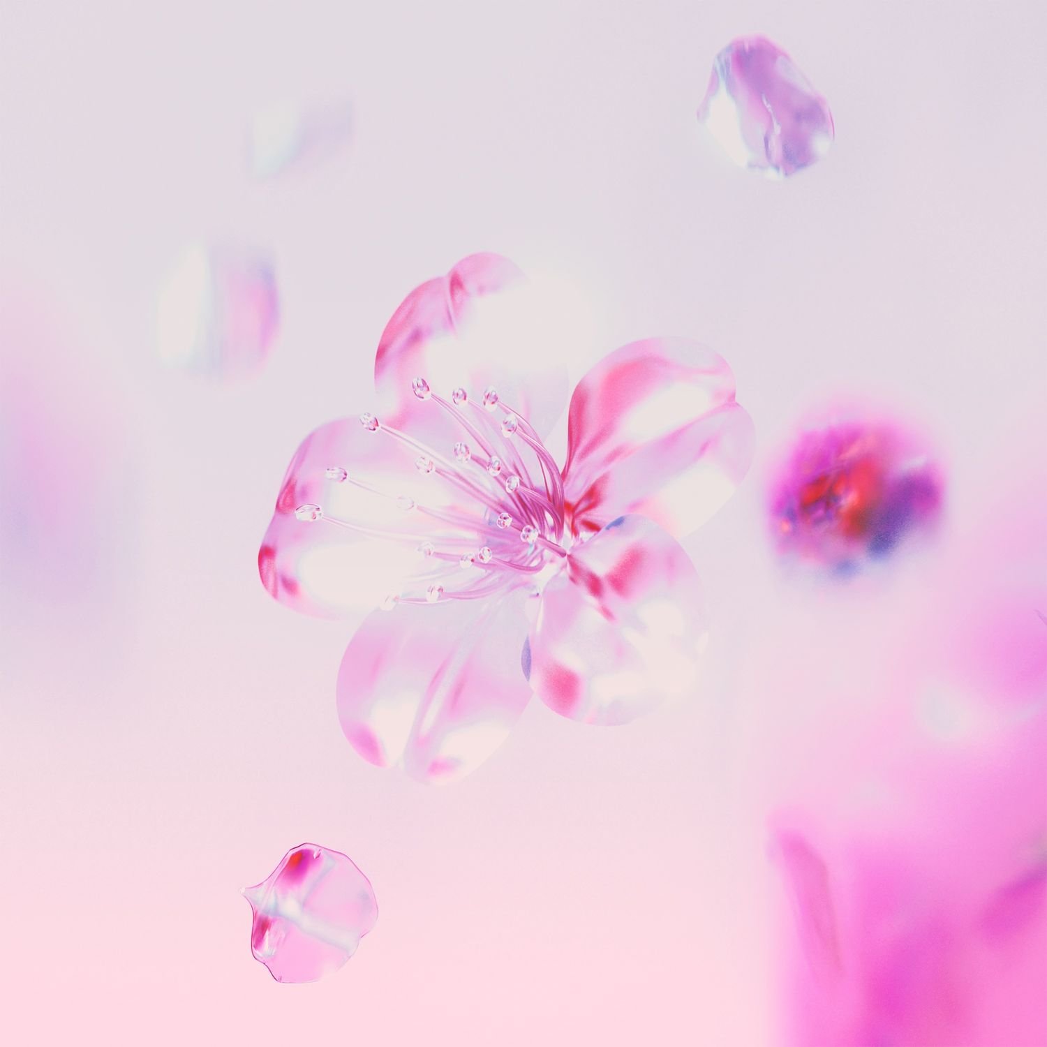 今春、Aile The Shotaが手掛けるラブソング「SAKURA」がサプライズリリース！ | USENの音楽情報サイト「encore ...